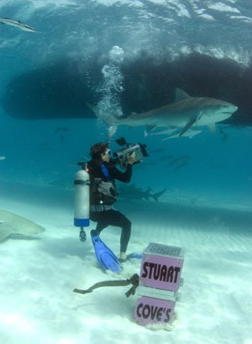 Shark Wrangler, Stuart Cove, featured again on Discovery Channel's ...