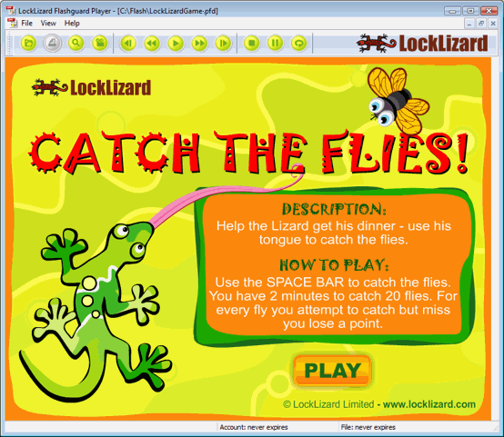 LockLizard Flash Security Software Secures Flash Files Against ...