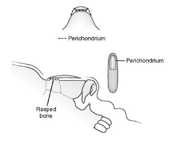 World Renowned Facial Reconstructive Surgeon, Dr. Dean Toriumi ...