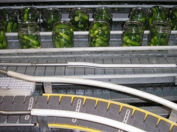 PPT VISION Inspection System and Smart Camera for Food Inspection