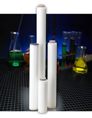 Pentair Industrial Teflex Series Absolute PTFE Membrane Filter ...