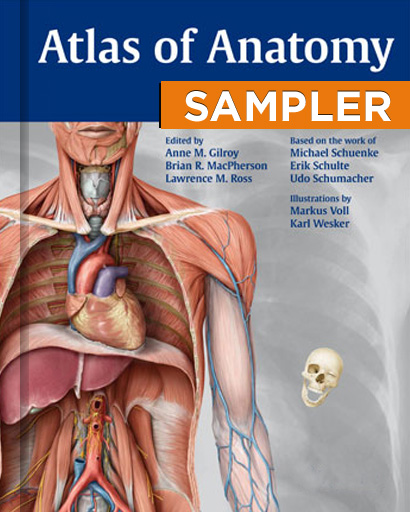 Thieme's Atlas of Anatomy Sample Content Now Available for iPad