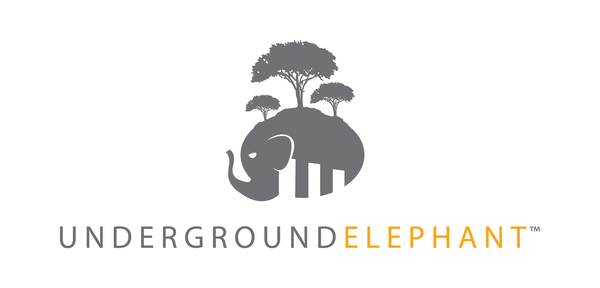 Underground Elephant Celebrates 2 Years of Excellence in Lead Generation