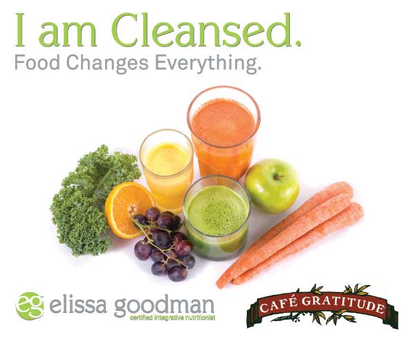 Holistic Nutritionist Elissa Goodman Partners with Cafe Gratitude to ...