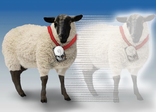 FarStone Releases Free Drive Cloning and Backup Solution