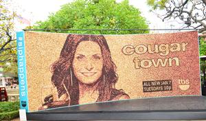 Cougar Life Billboard