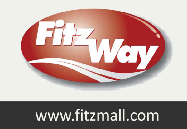 Fitzgerald Auto Malls Protects 45,000 Children On The Road