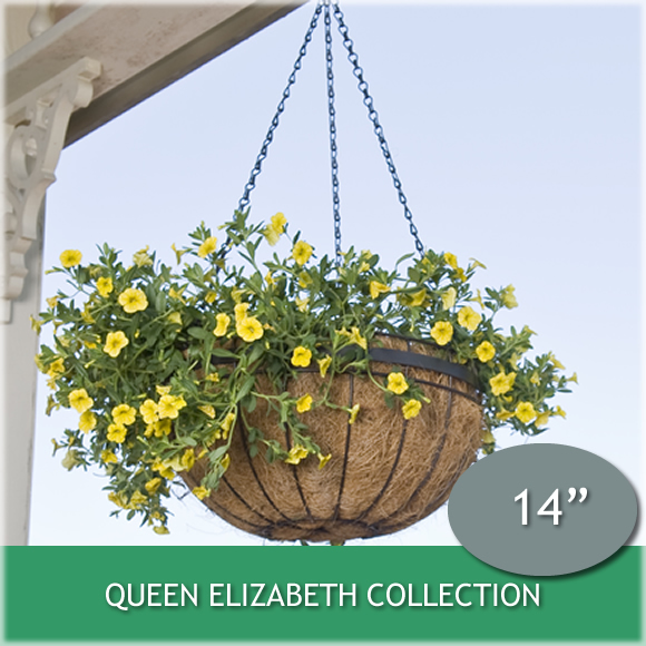 Best Plants for Your Deck and Patio Planters