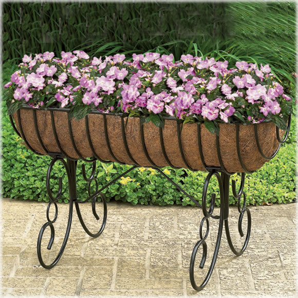 Best Plants for Your Deck and Patio Planters