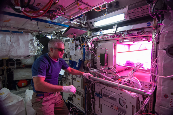 Pioneering Space Station Breakthroughs: NASA's EXPRESS Rack Reaches ...