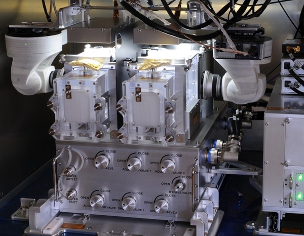 Zebrafish Flex Their Muscles For Research Aboard the International ...