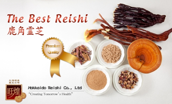 The Best Reishi is Made in Hokkaido