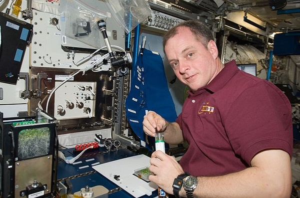Most Compelling Science From the International Space Station For 2014 ...