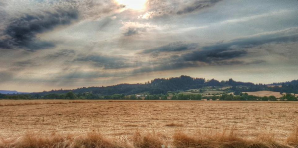 Fall Enrollment Now Open at Delphian School in Oregon