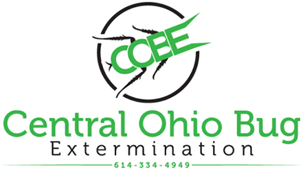 Central Ohio Bug Extermination Strengthens Fight Against Bed Bugs