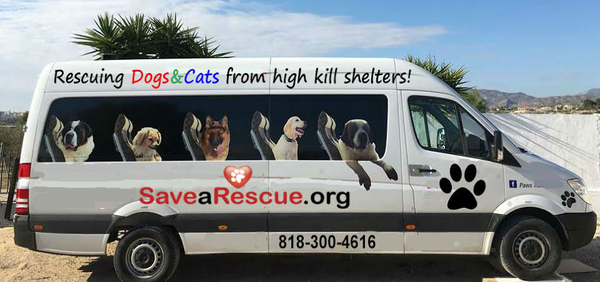 Animal Welfare Group Unveils Unique Way To Save Shelter Dogs And Cats