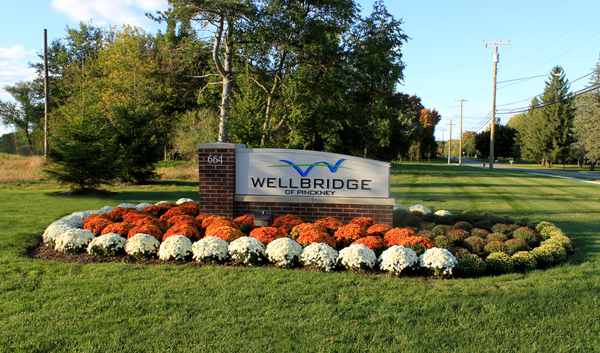 The Douglas Company Announces the Completion of The Wellbridge of ...