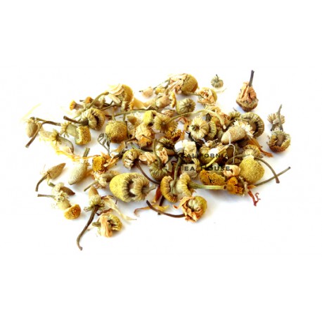 Dog Tea - A Proven Way To Prevent Canine Motion Sickness