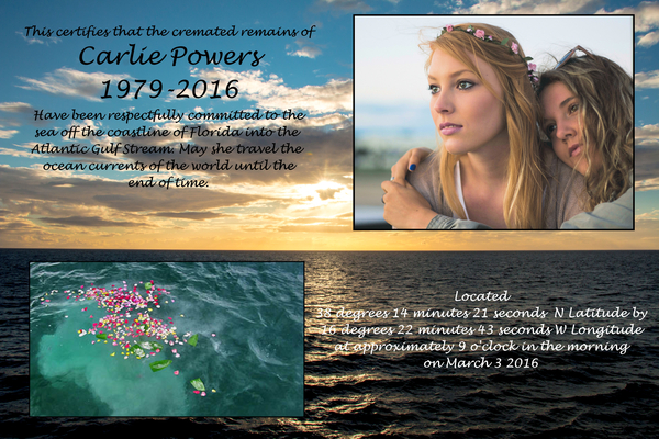 Ocean Ashes Launches Ocean Ash Scattering Service with Free Video