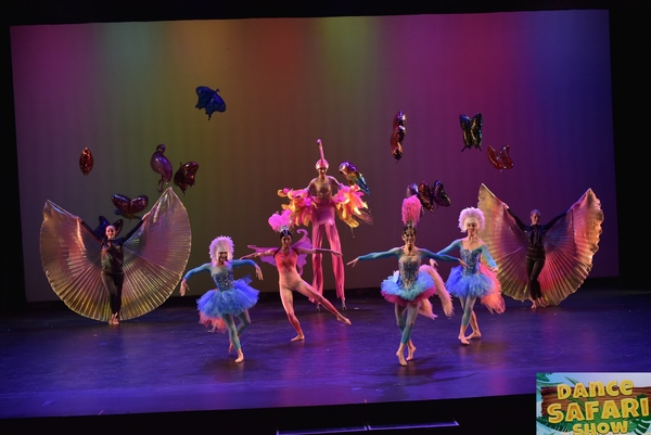 Dance Safari Show Returns at the Colony Theater on Sunday June 4th ...