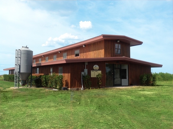 Rent an Office in a Horse Stall