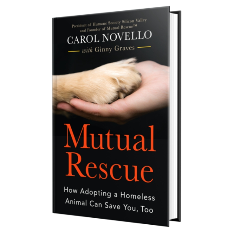 Humane Society Silicon Valley President Authors Book About How Adopting ...