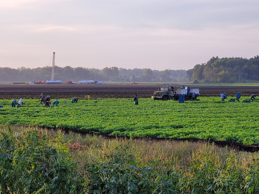 Tim Fodor, President of Michigan GeoSearch, Inc. (a part of the Fodor ...