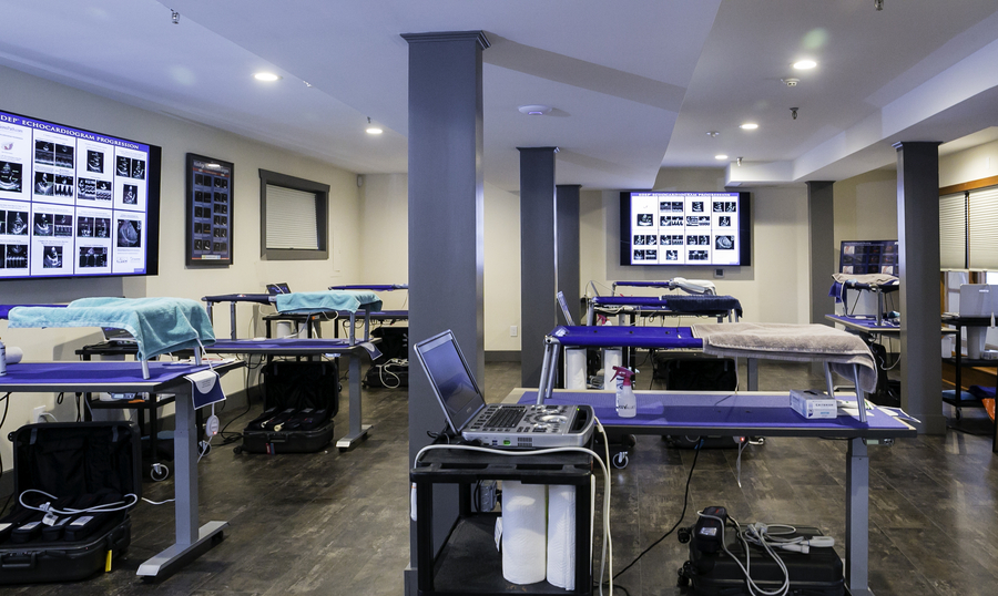 SonoPath™ Opens New Hands-on Veterinary Ultrasound Training Facility