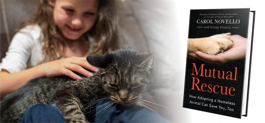 Mutual Rescue™ Book Released In Paperback Just In Time for Those ...