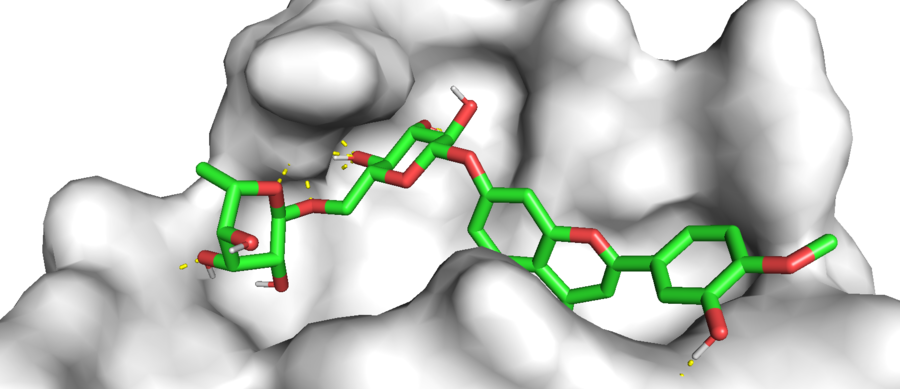 Drug Repurposing Study Discovers that Natural Supplement Diosmin For ...