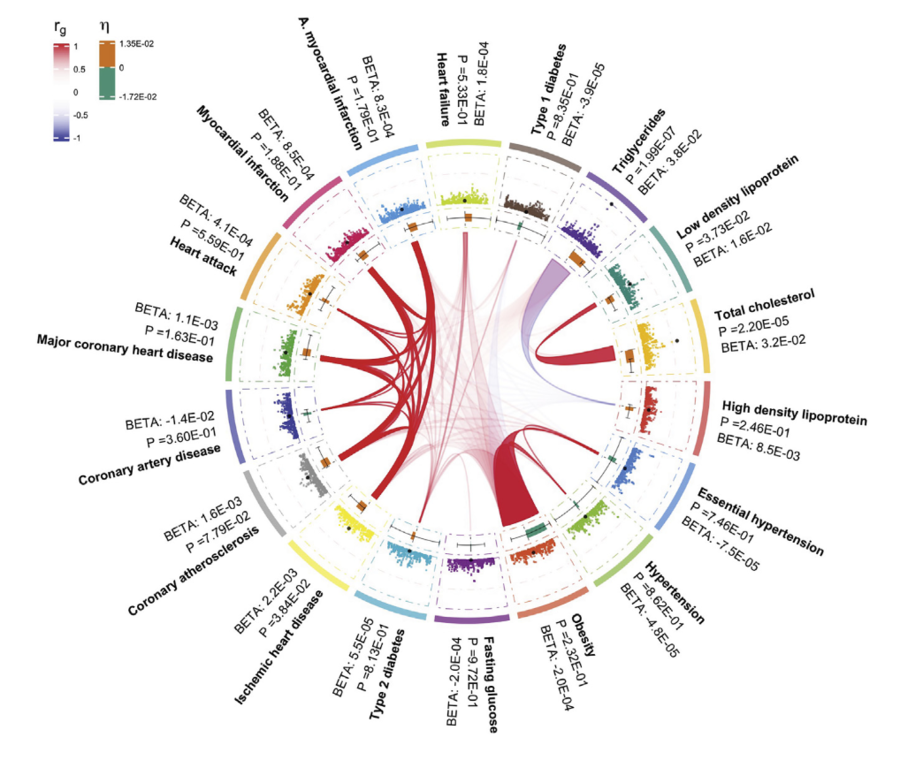 Following Significant Gene Discovery, Dr. Buhm Han, Ph.D., and Team ...