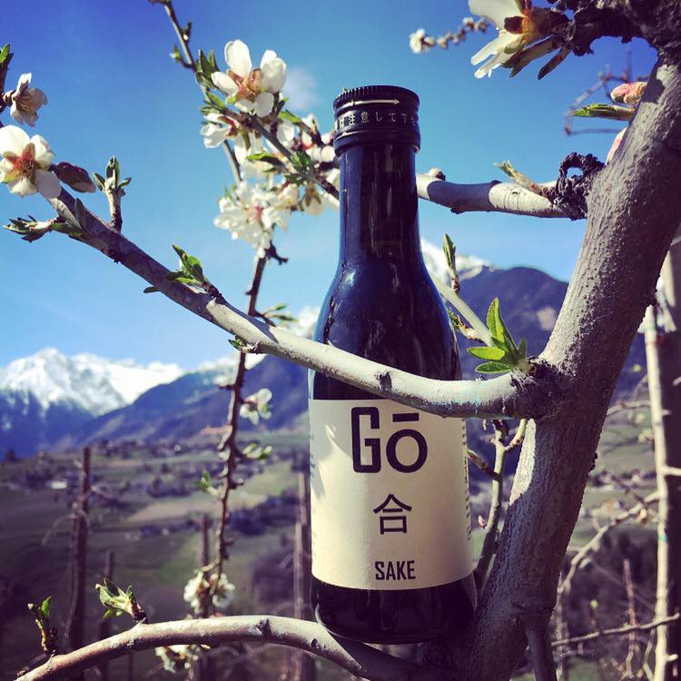 Time to give Japanese Sake a Go!