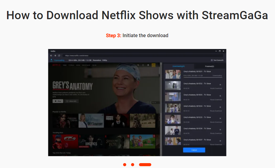 StreamGaGa Releases Word's Leading Video Utility Software Supports ...