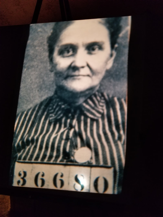 GILDED AGE Book on Con Woman Cassie Chadwick Released at Just The Right ...